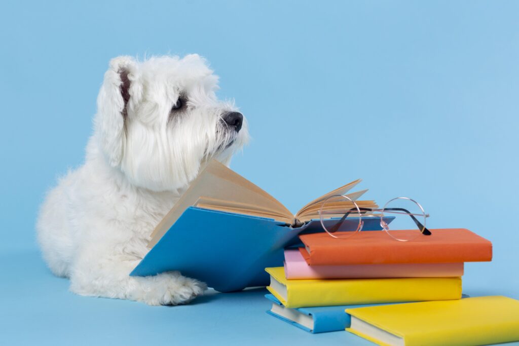 Top Puppy Schools In Your Area: Find The Best Training Programs