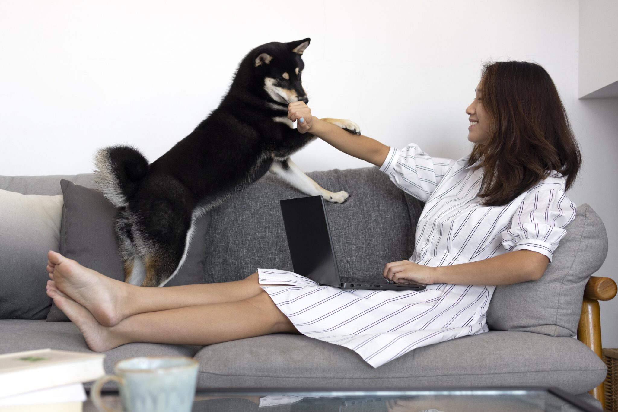 Verbal Vs. Hand Signal Training: The Benefits Of Teaching Your Dog Both ...