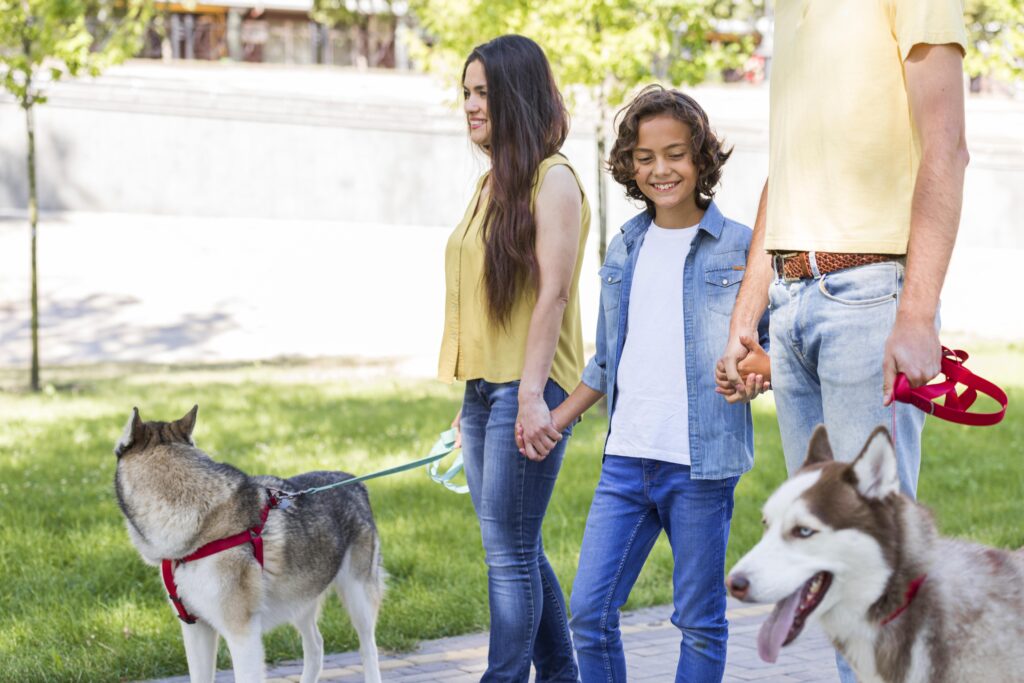 Can Dogs Get Depressed? Dog Depression Signs You Shouldn't Ignore