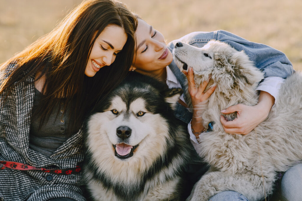 How Service Dogs In Crowded Spaces Stay Calm And Stress-Free